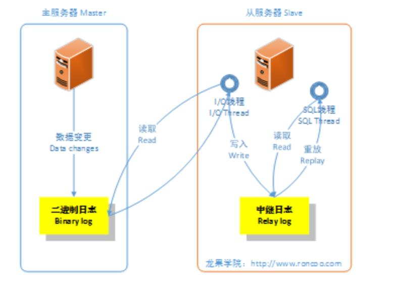 Mysql 8 0 基于binlog日志主从复制 Discover Ry 博客园