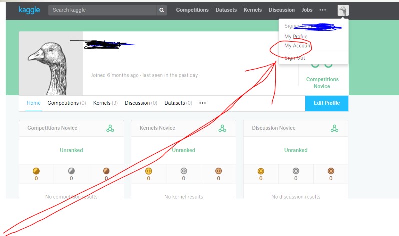 kaggle api下载数据集 - funykatebird - 博客园