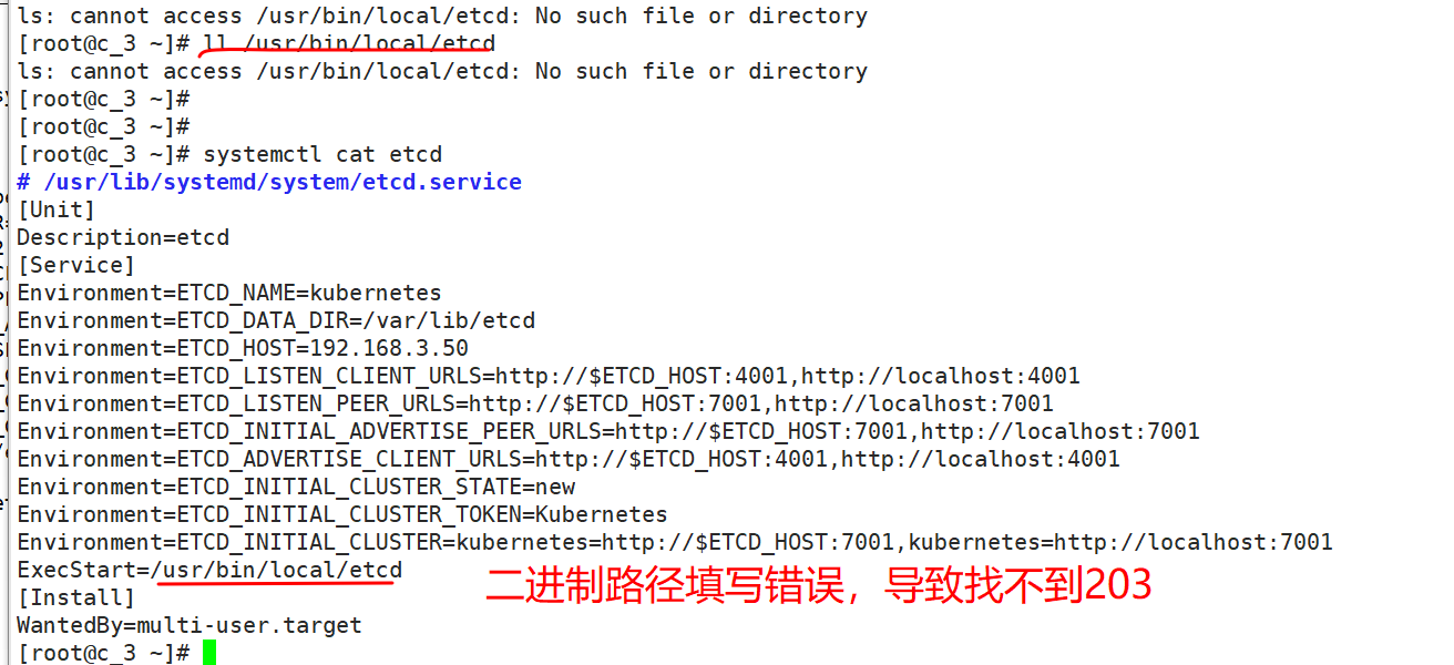 Main Process Exited Code exited Status 203 EXEC Mvpbang 