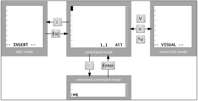 2018最新linux云计算集群架构师 第一阶段 Linux操作系统入门到精通 第5章 Vim编辑器和恢复ext4下误删除的文件 Xmanager工具 Vim概述 Vim命令模式使用技巧